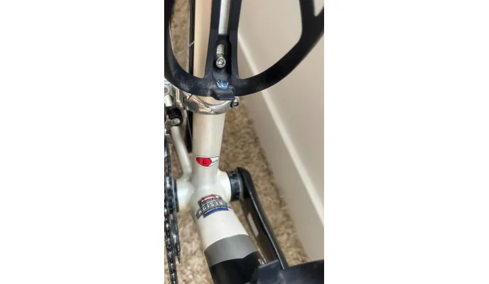 Speed - Speed levado a sério | Semexe