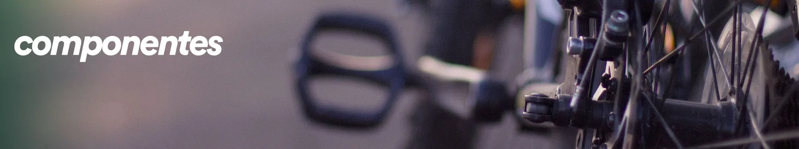 Componentes
