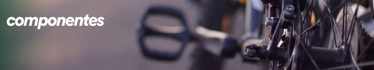 Componentes