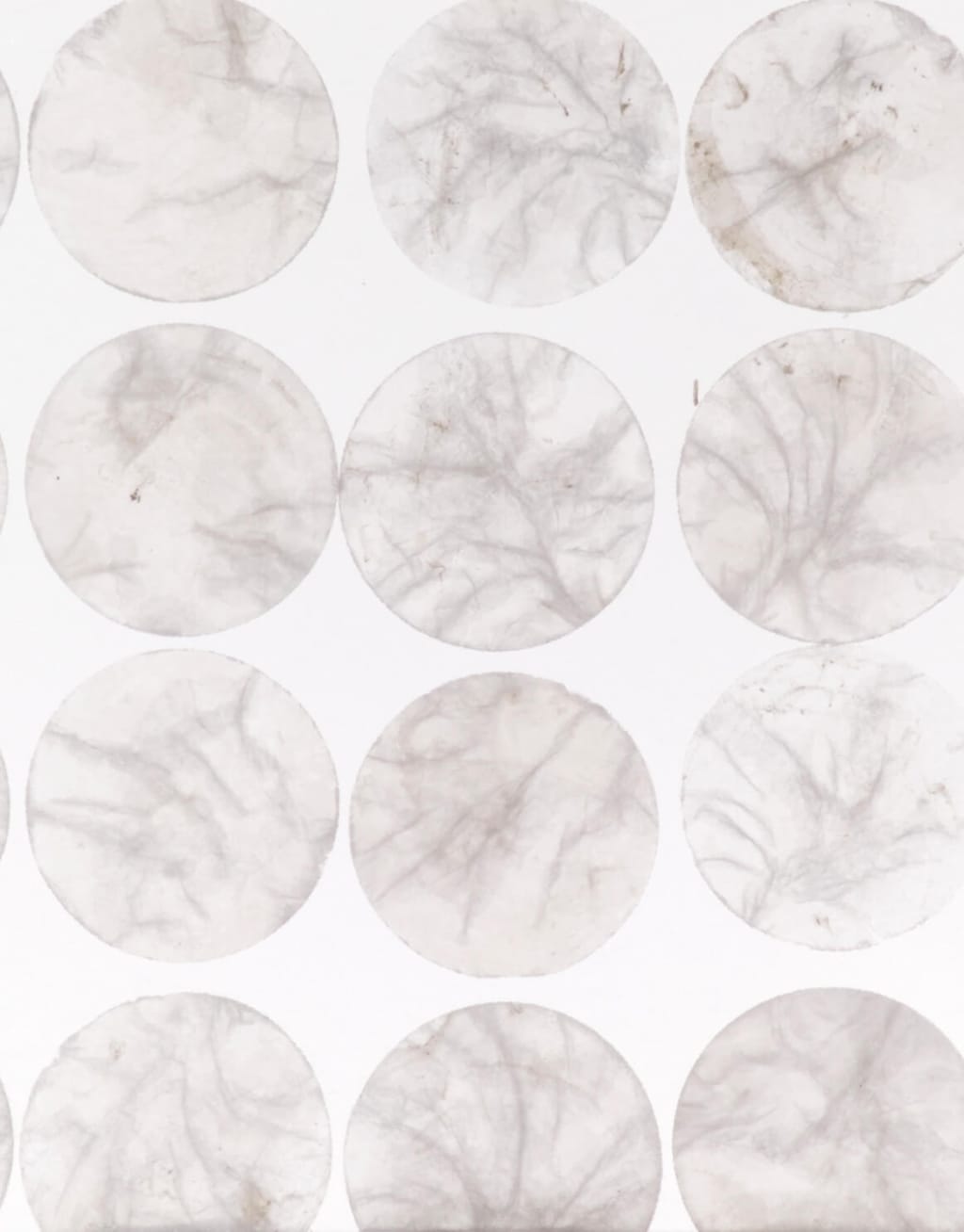 Interlayers | Capiz | 3form