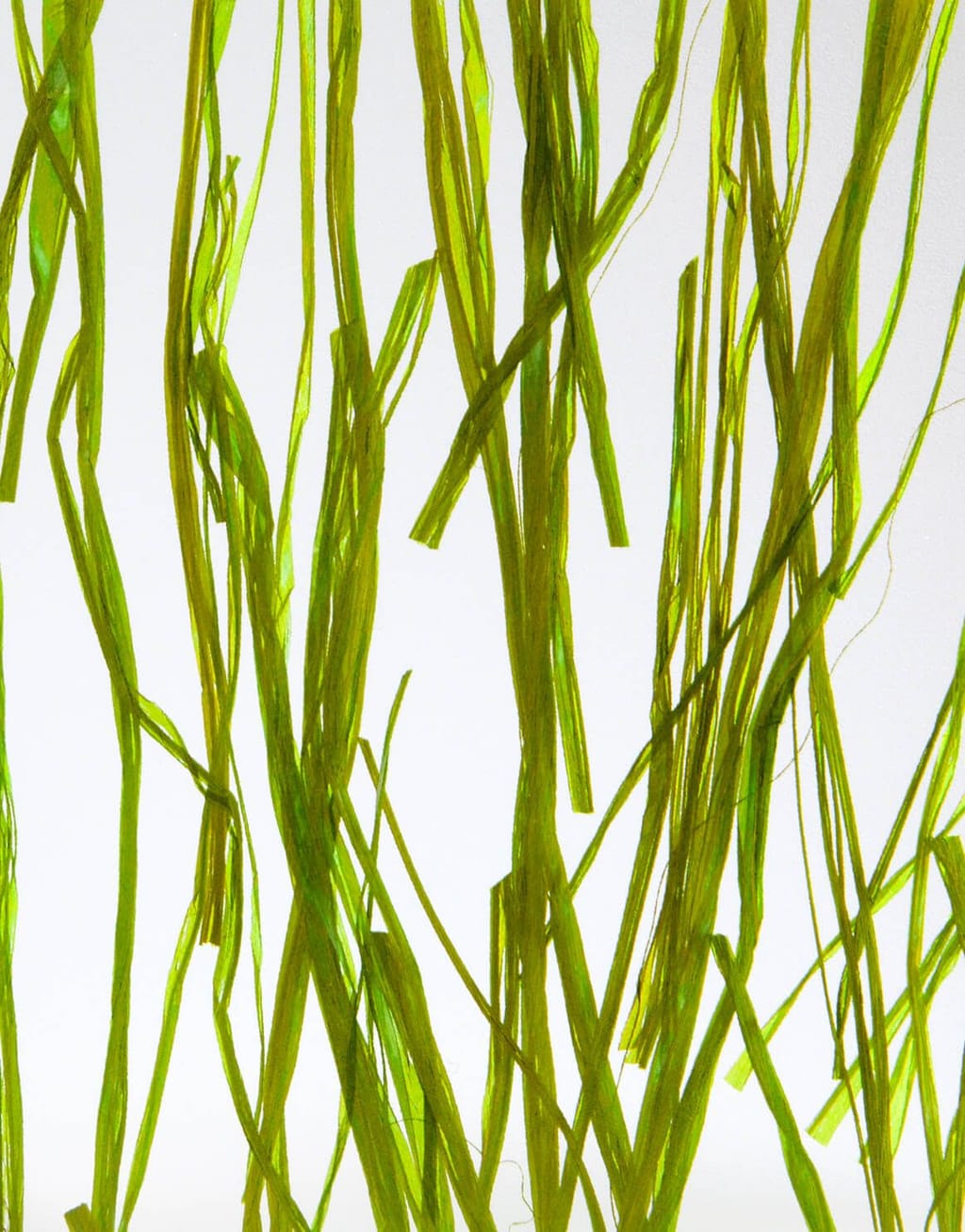 Interlayers | Seaweed | 3form