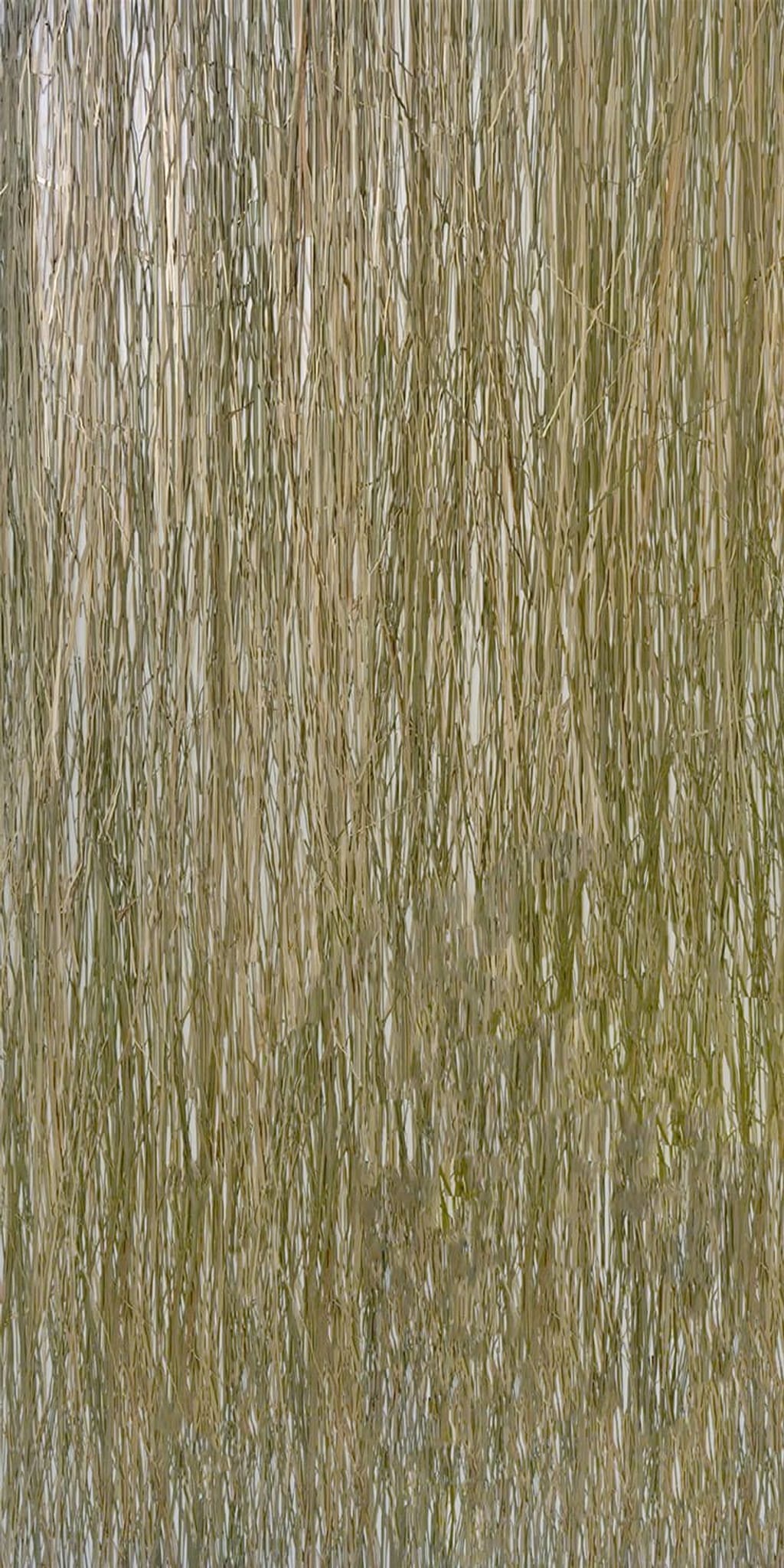 Interlayers | Bear Grass | 3form