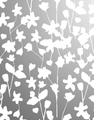 Graphic Pattern | Muse | 3form