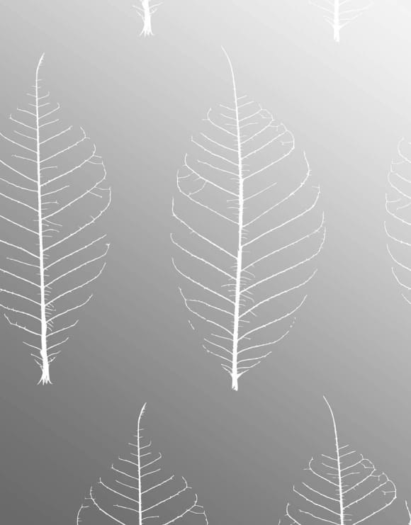 Materials | Laminated and Monolithic Glass | 3form
