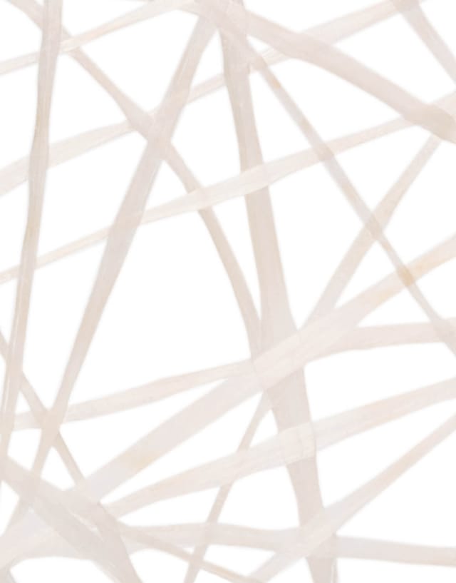 Interlayers | Connection | 3form