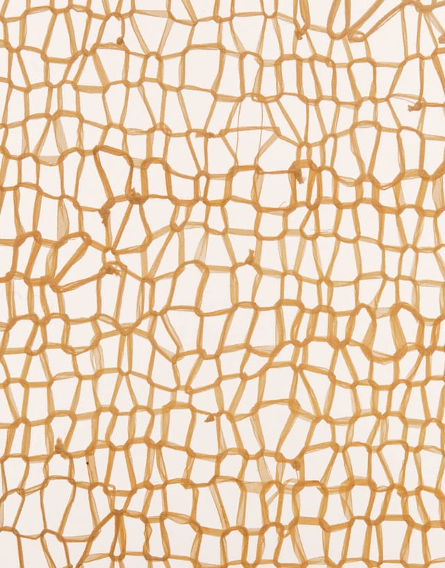 Interlayers | Woven Raffia | 3form