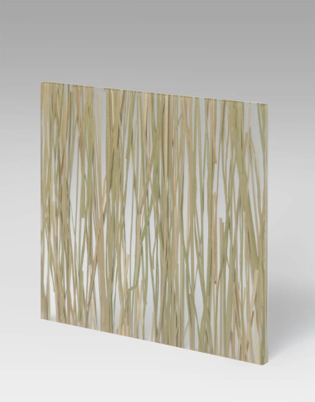 Interlayers | Bear Grass | 3form