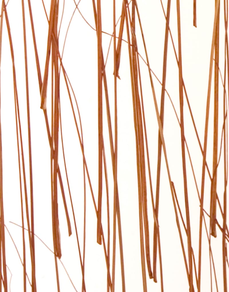 Interlayers | Ting Ting | 3form